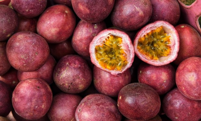 Top 5 des fruits de mars - Mes Astuces Faciles